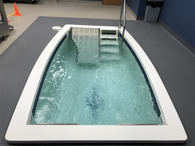 Swim Spa Design & Inspiration - SwimEx